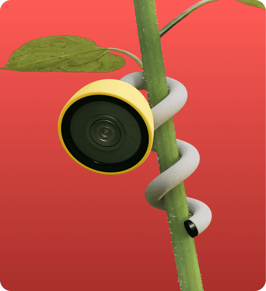 Wonder | Petal & Wonder Blocks: Your Smart Nature Observatory